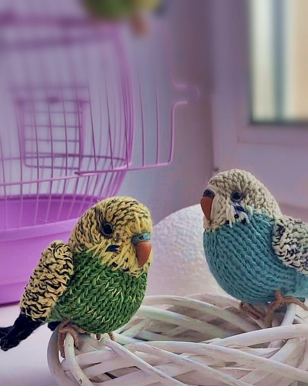Budgie Knitting Pattern, Cute Knit Parrot Pattern. Detailed аmigurumi ...