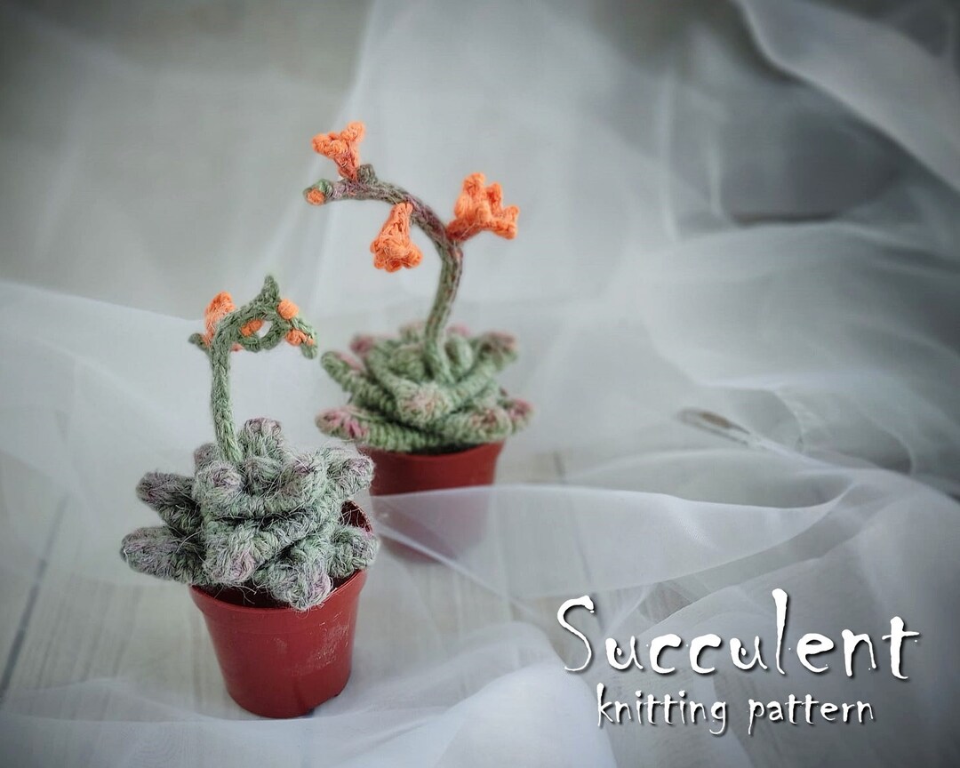 Succulent Pattern, Realistic Plant for Home Decor. Knitting Pattern for ...