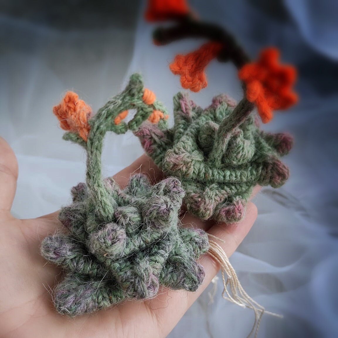 Succulent Pattern, Realistic Plant for Home Decor. Knitting Pattern for ...