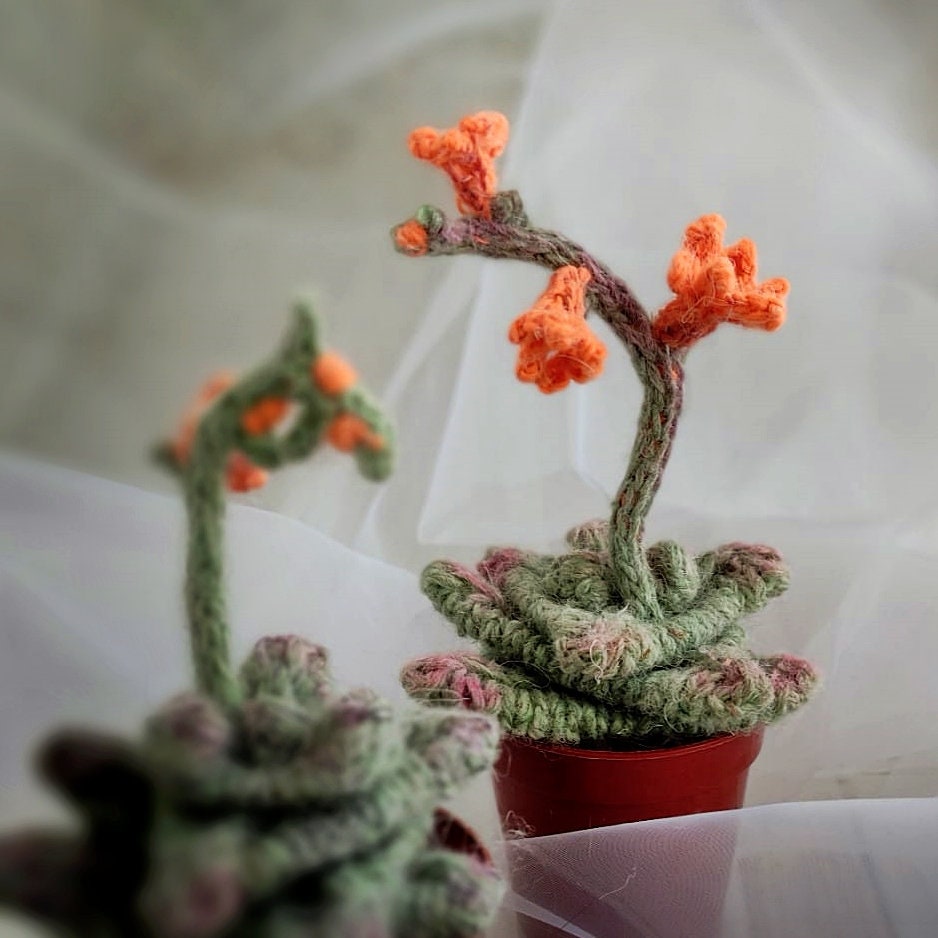 Succulent Pattern, Realistic Plant for Home Decor. Knitting Pattern for ...