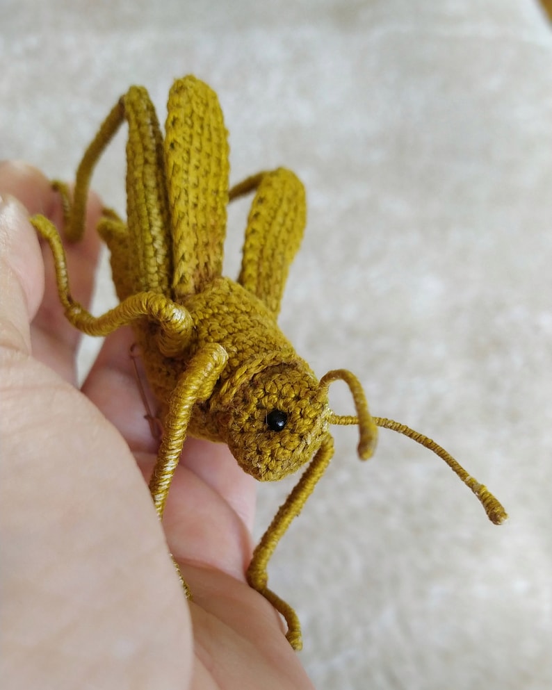 Grasshopper Crochet Pattern for Insect Brooch. Green Keychain, Badge ...