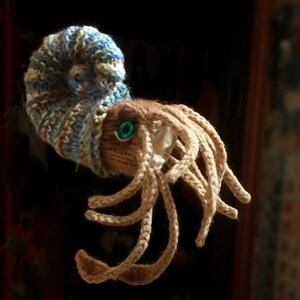 Ammonite Pattern - Knitted Shell toy Pattern – Cute Spiral Shell – DIY ...