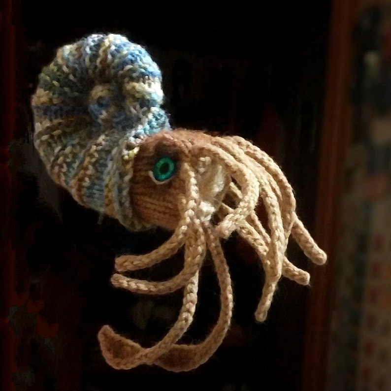 Ammonite Pattern Knitted Shelltoy Pattern Cute Spiral Shell DIY for ...