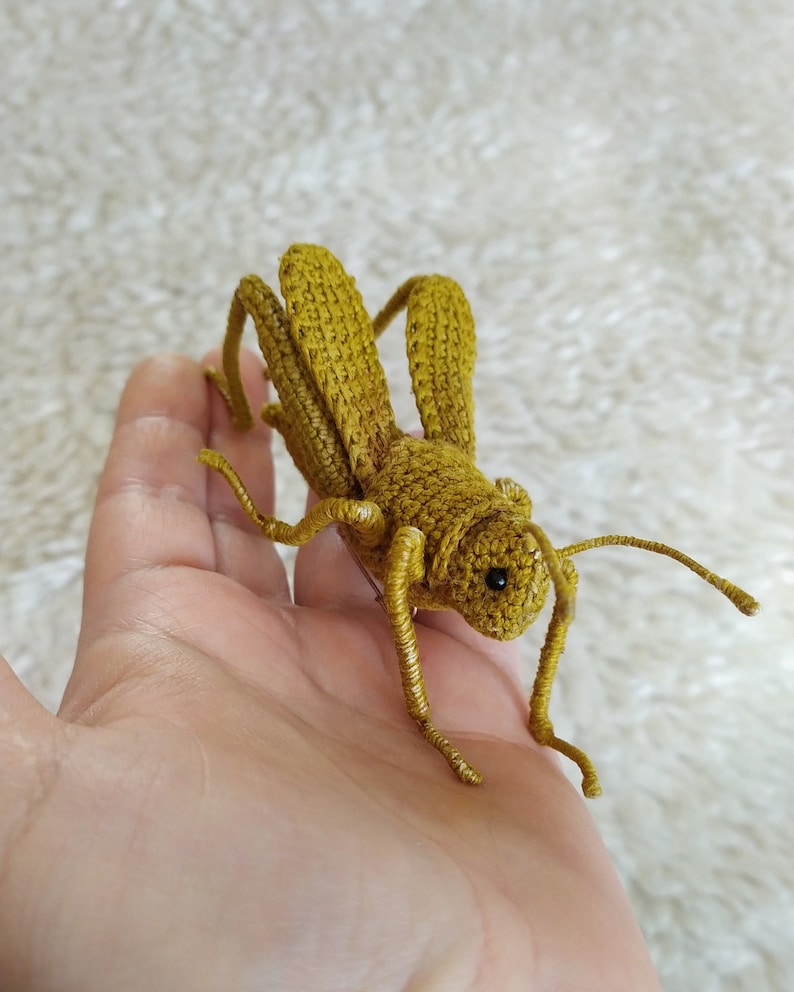Grasshopper Crochet Pattern for Insect Brooch. Green Keychain - Etsy