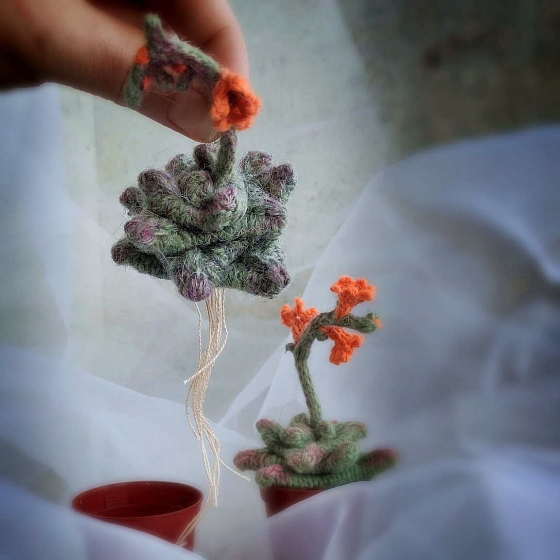 Succulent Pattern, Realistic Plant for Home Decor. Knitting Pattern for ...