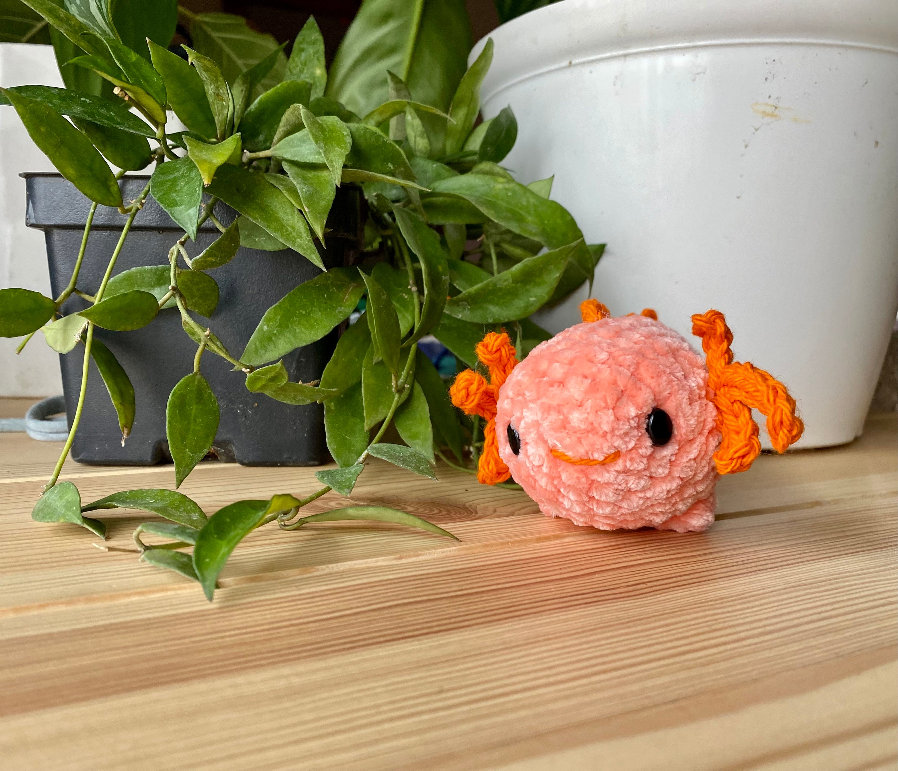 Mini No Sew Axolotl Crochet Pattern - Etsy Canada