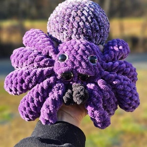 NO SEW Jumping Spider Crochet Pattern With Tarantula Mod - Etsy