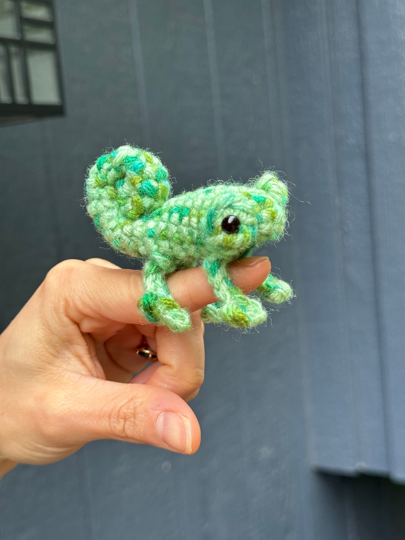Pedro Chameleon Mini No Sew Crochet Pattern - Etsy