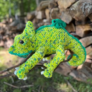 Chameleon Crochet Pattern With Momma Mod - Etsy