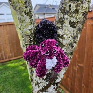 NO SEW Jumping Spider Crochet Pattern With Tarantula Mod - Etsy