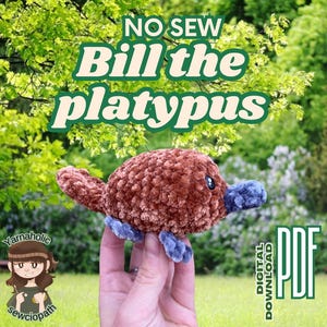 No Sew Bill the Platypus Crochet Pattern - Etsy