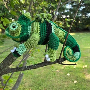 Chameleon Crochet Pattern With Momma Mod - Etsy