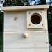 Large Squirrel Box, Squirrel Box, Squirrel Nesting Box, Predator Guard ...