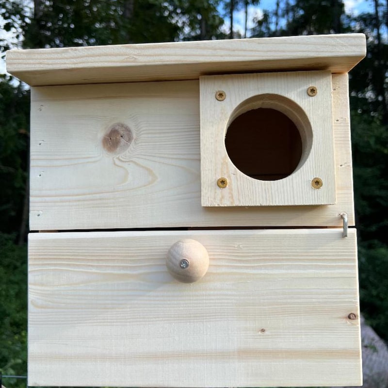 Squirrel House With Camera - Etsy