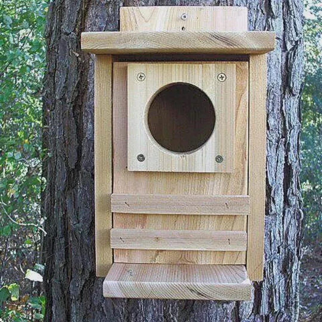 Squirrel Box, House, Cedar Nesting Box, Large Squirrel House, Squirrel ...