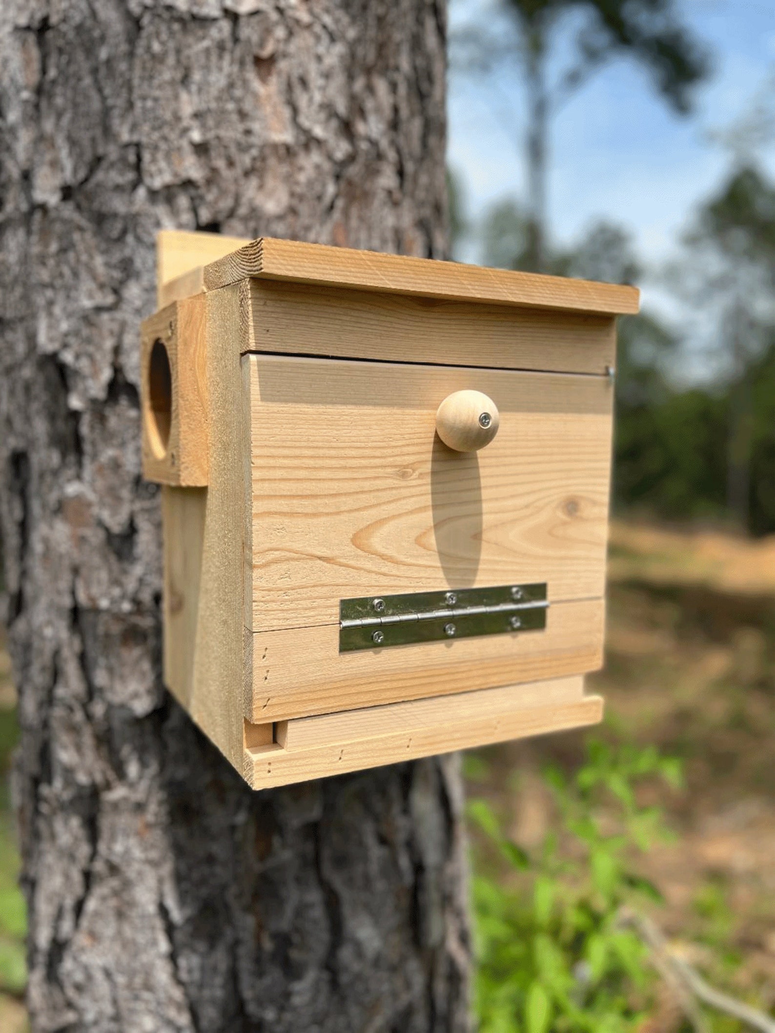 Extra Large Squirrel House, 2 Hole Squirrel Box, Squirrel Nesting Box ...