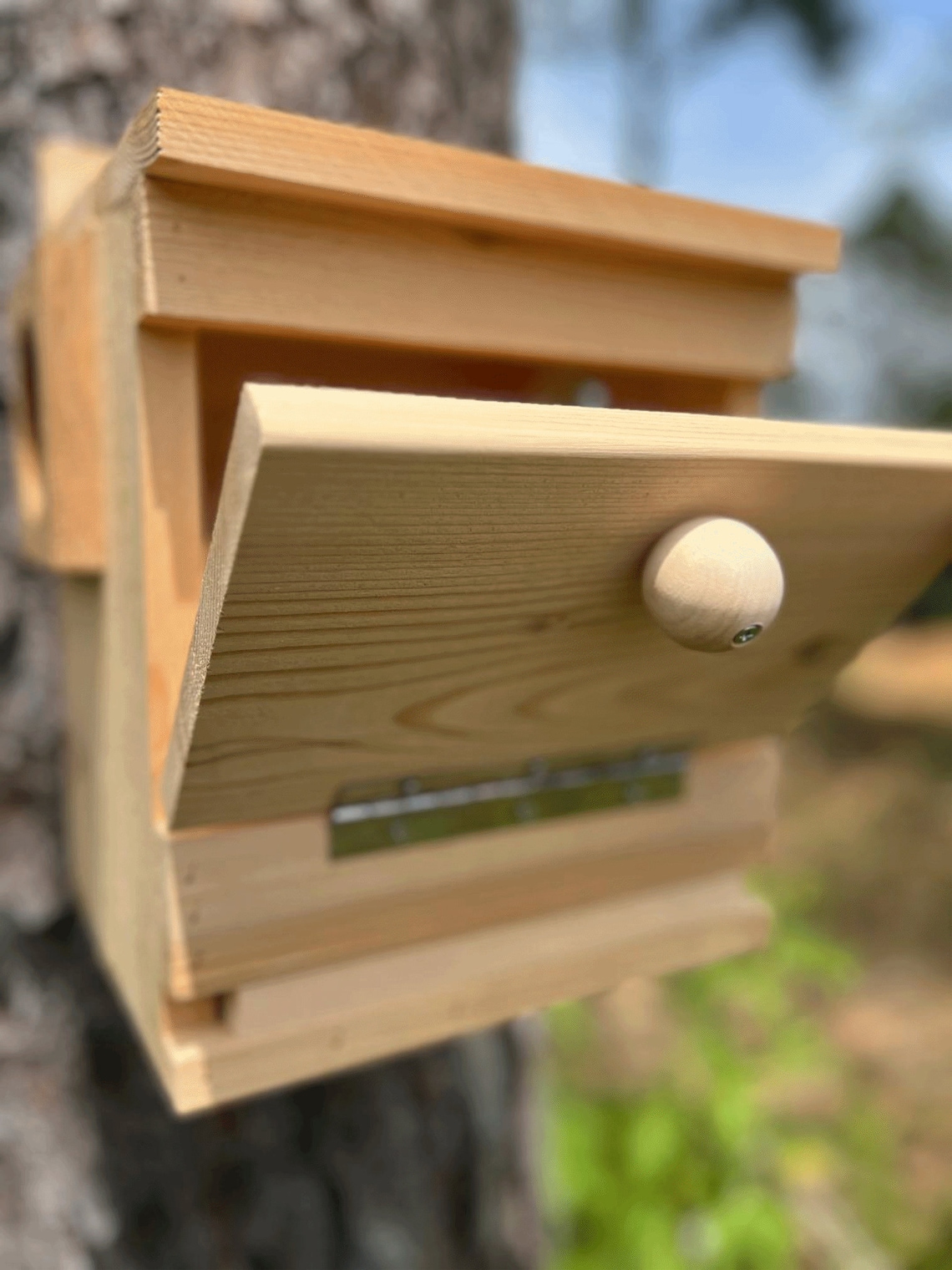 Extra Large Squirrel House, Nesting Box With Predator Guard, Mom, Dad ...
