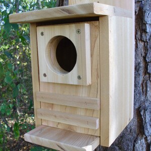 Squirrel Box, House, Cedar Nesting Box, Large Squirrel House, Squirrel ...