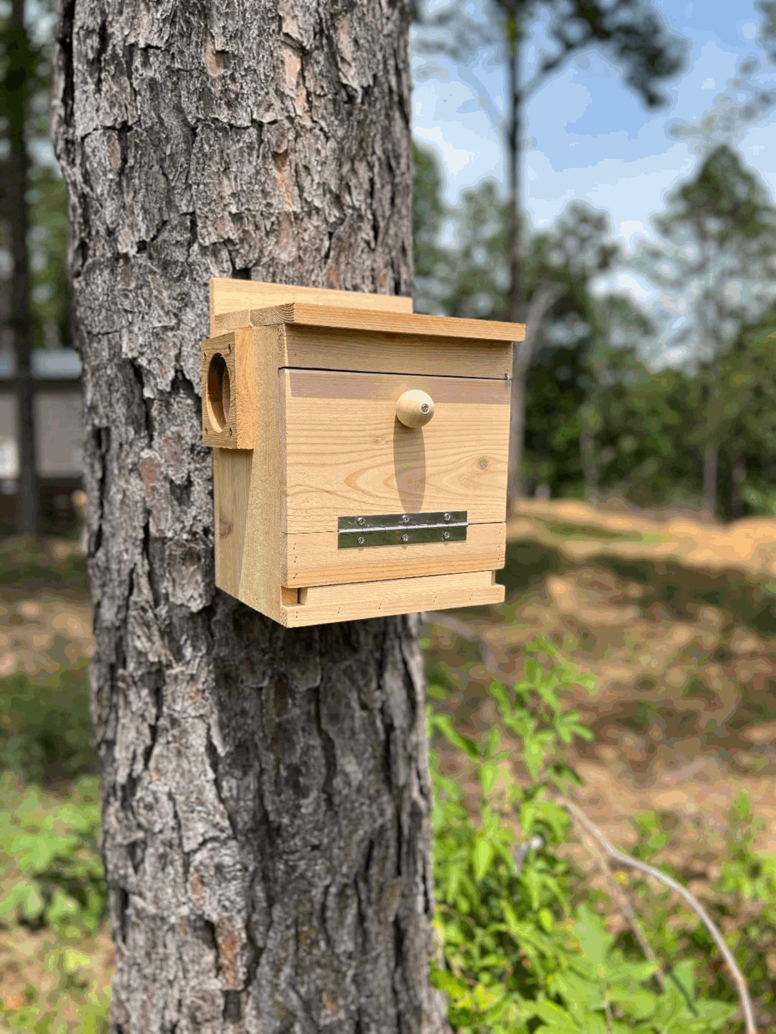 Extra Large Squirrel House, 2 Hole Squirrel Box, Squirrel Nesting Box ...