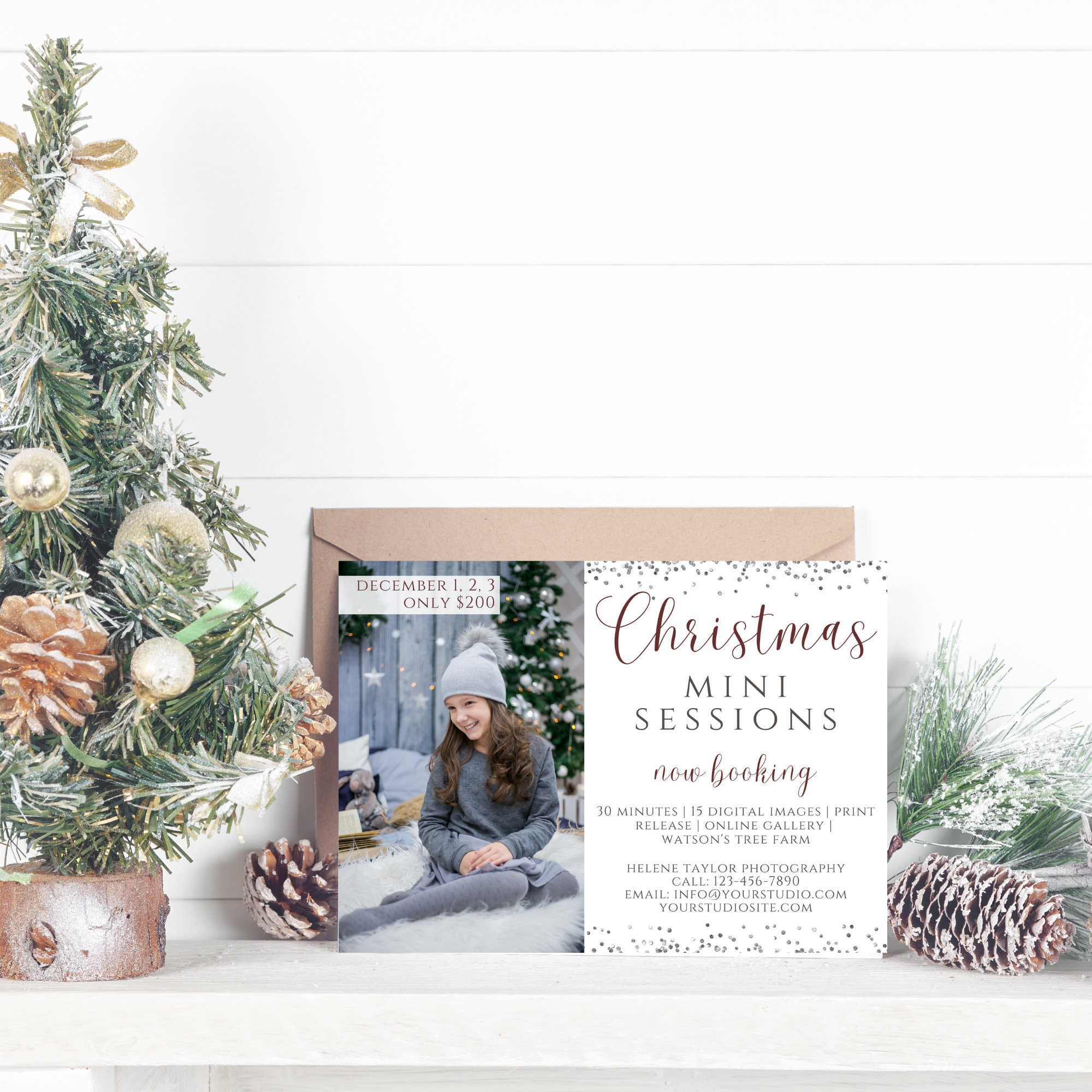 Christmas Mini Session Canva Template, Holiday Mini Session Flyer ...