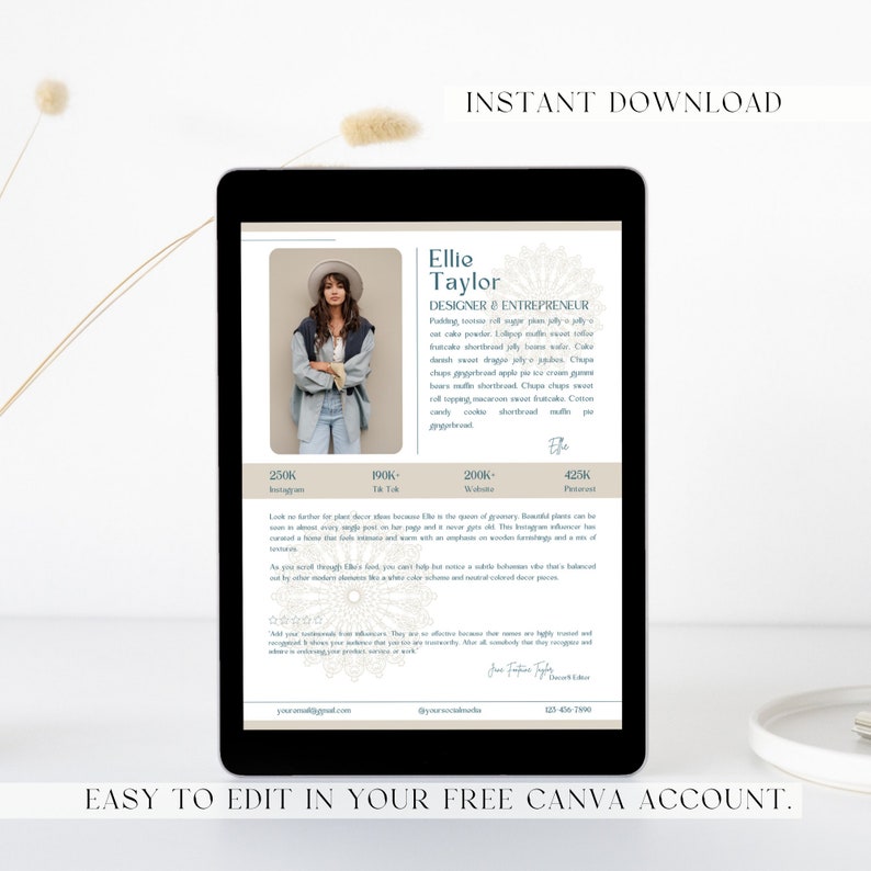 Influencer Media Kit Template Influencer Media Kit Blogger - Etsy