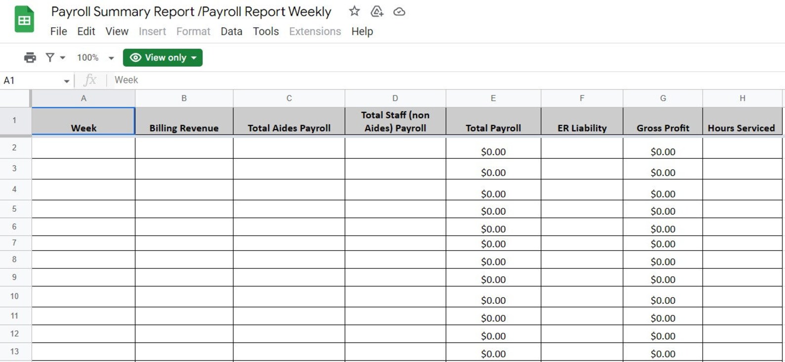 Payroll Summary Report /payroll Report Weekly Template, Editable Google ...