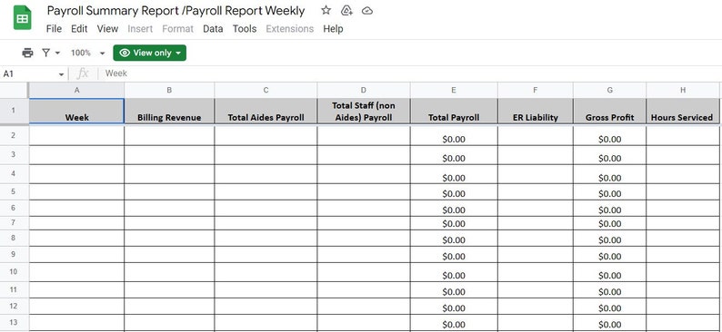 Payroll Summary Report /payroll Report Weekly Template, Editable Google ...