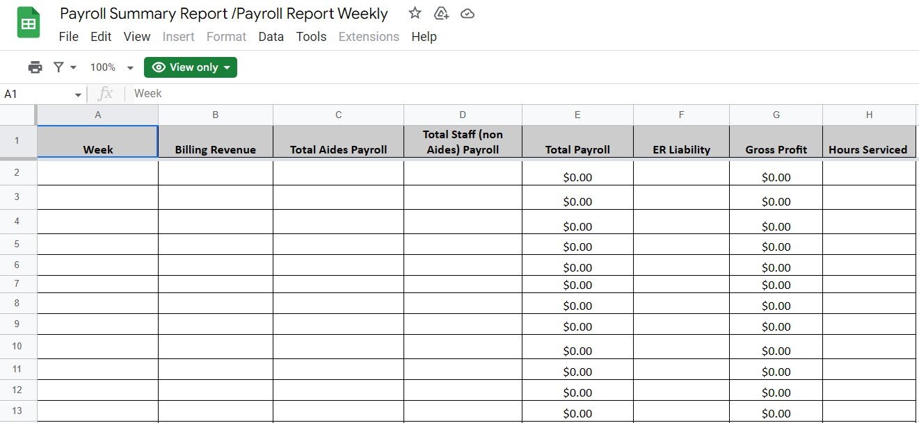 Payroll Summary Report /payroll Report Weekly Template, Editable Google ...