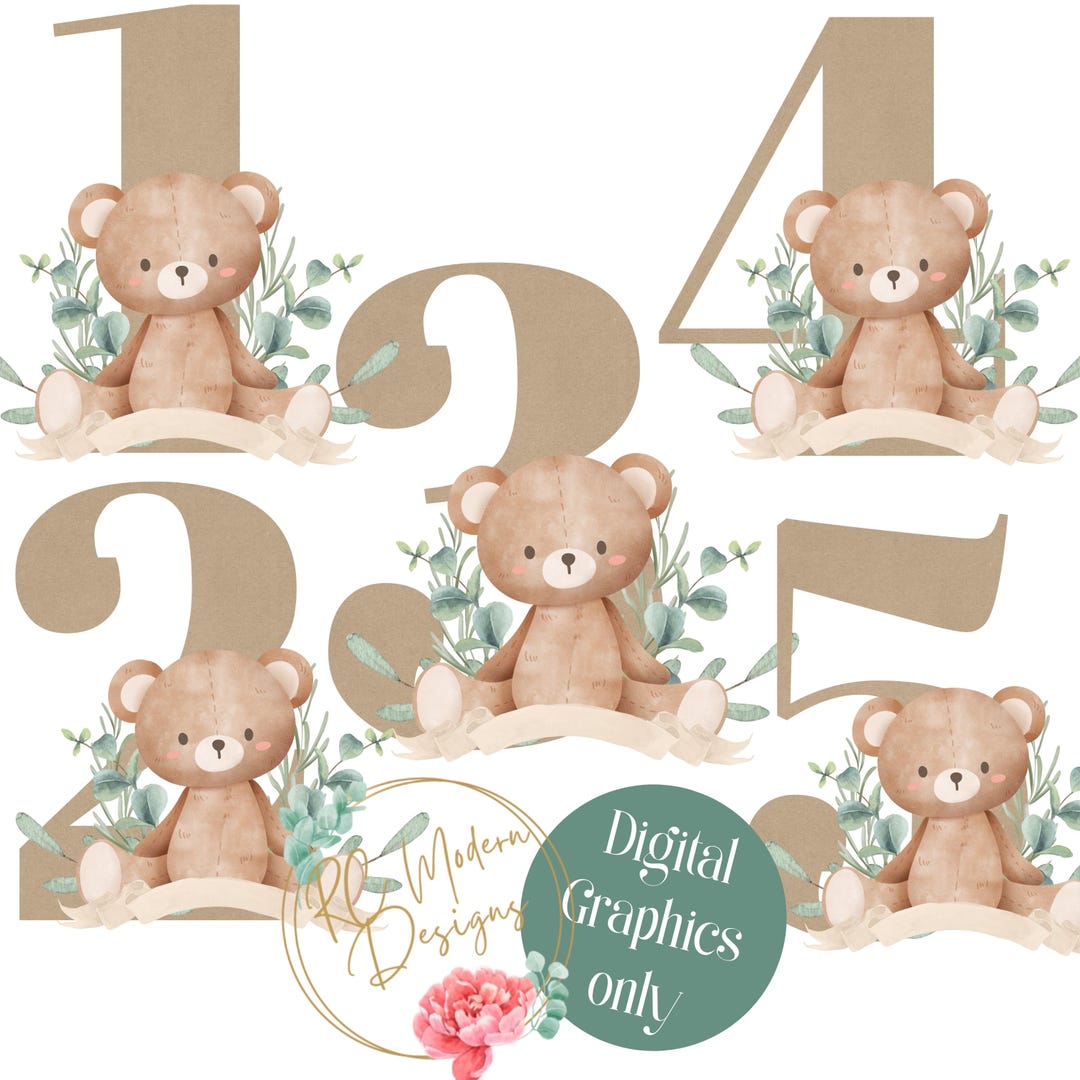 Teddy Bear Number Set, Gender Neutral Bear Birthday, Brown Teddy Bear ...