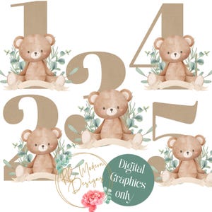 Teddy Bear Number Set, Gender Neutral Bear Birthday, Brown Teddy Bear ...