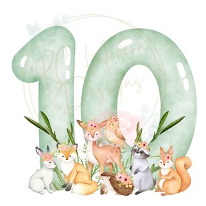 Woodland Animal Clipart, Baby Woodland Clipart, Woodland Animal PNG ...