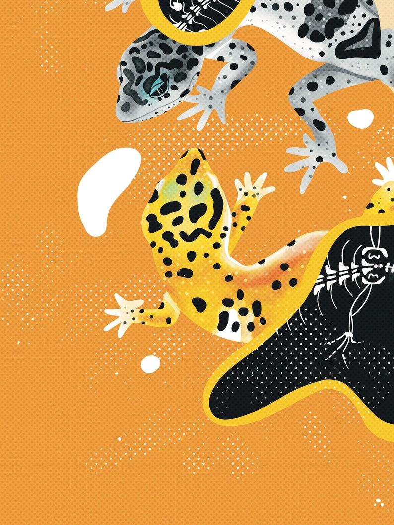 Leopard Geckos Fine Art Print - Etsy