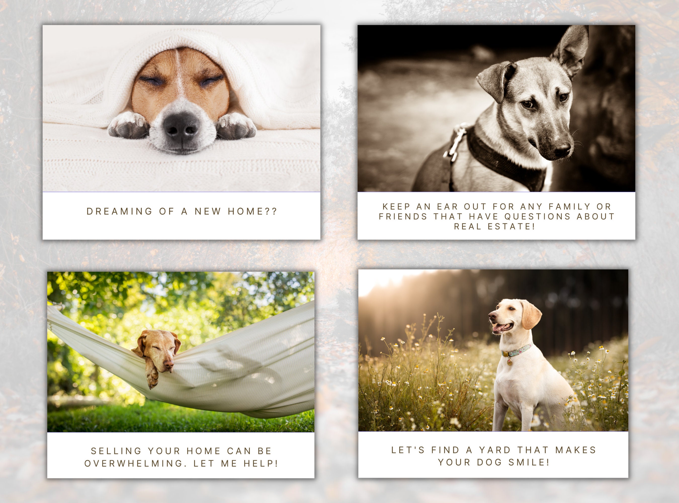 Dog Themed Real Estate Neighborhood Mailer ︱realtor Postcard Marketing ...