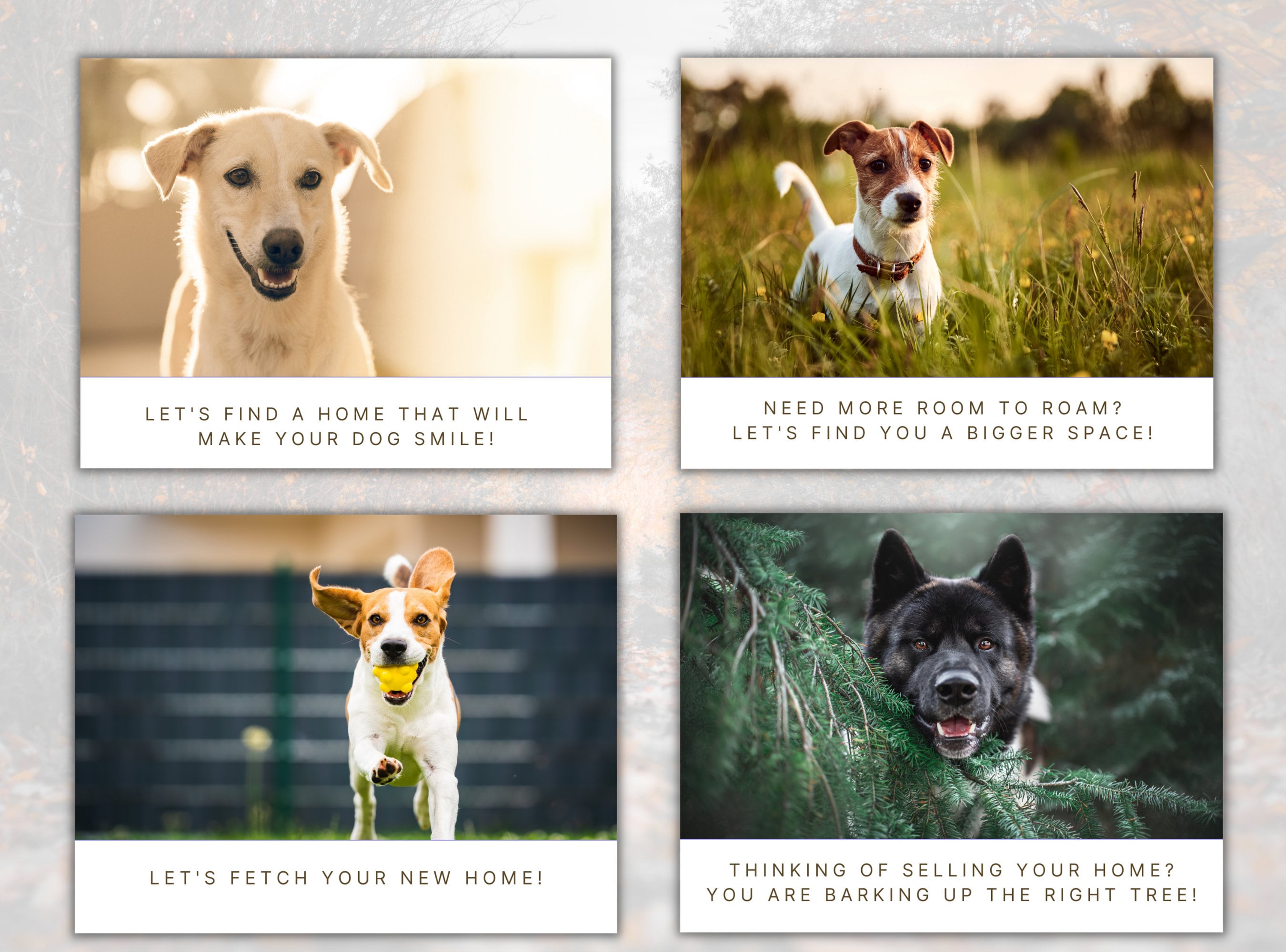 Dog Themed Real Estate Neighborhood Mailer ︱realtor Postcard Marketing ...