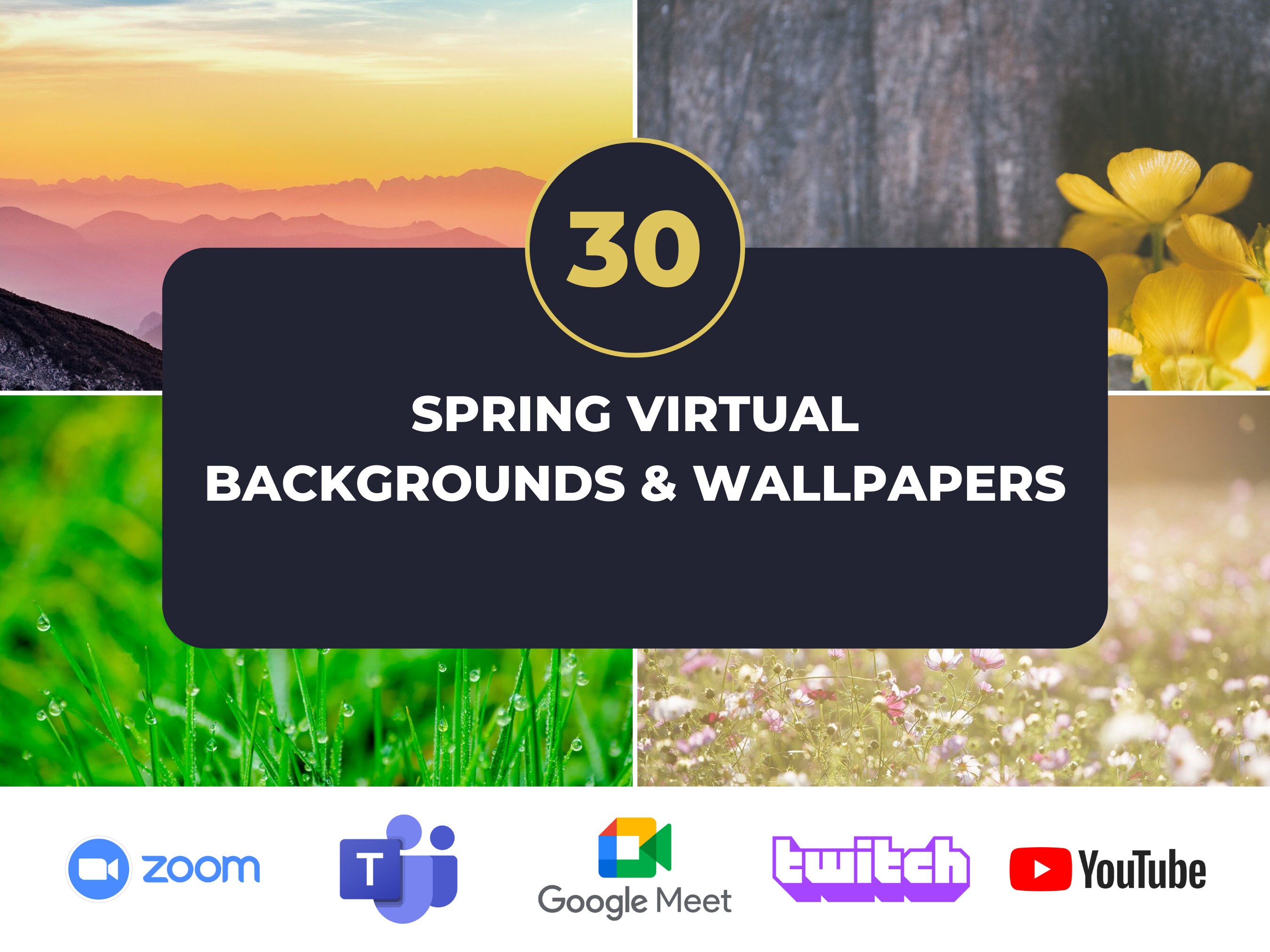 30 Zoom Backgrounds Spring Virtual Backgrounds Zoom MS - Etsy México