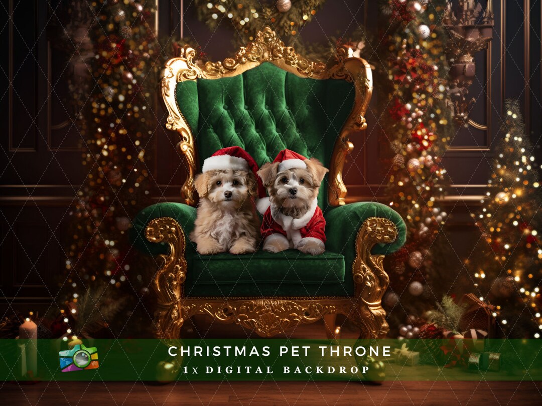 Christmas Digital Background for Dogs, Cats & Pets, Dog Cat Animal ...