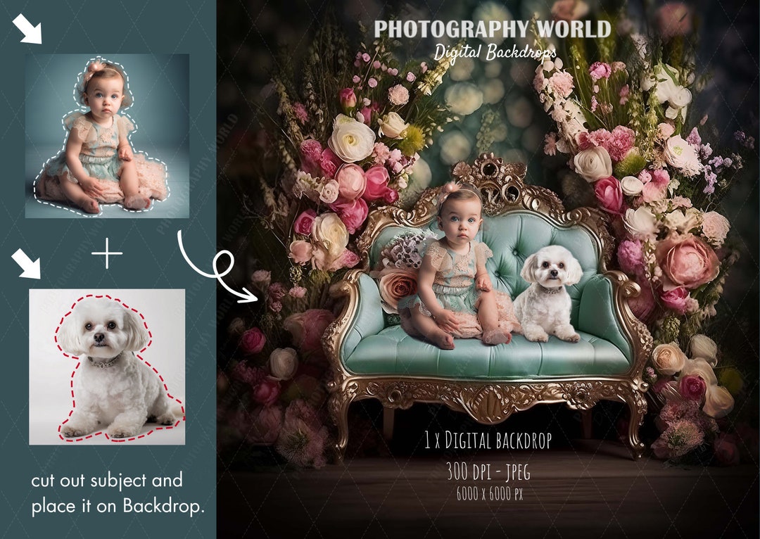 Pets Portrait Digital Backdrop, Dog Cat Portrait Background Photography ...