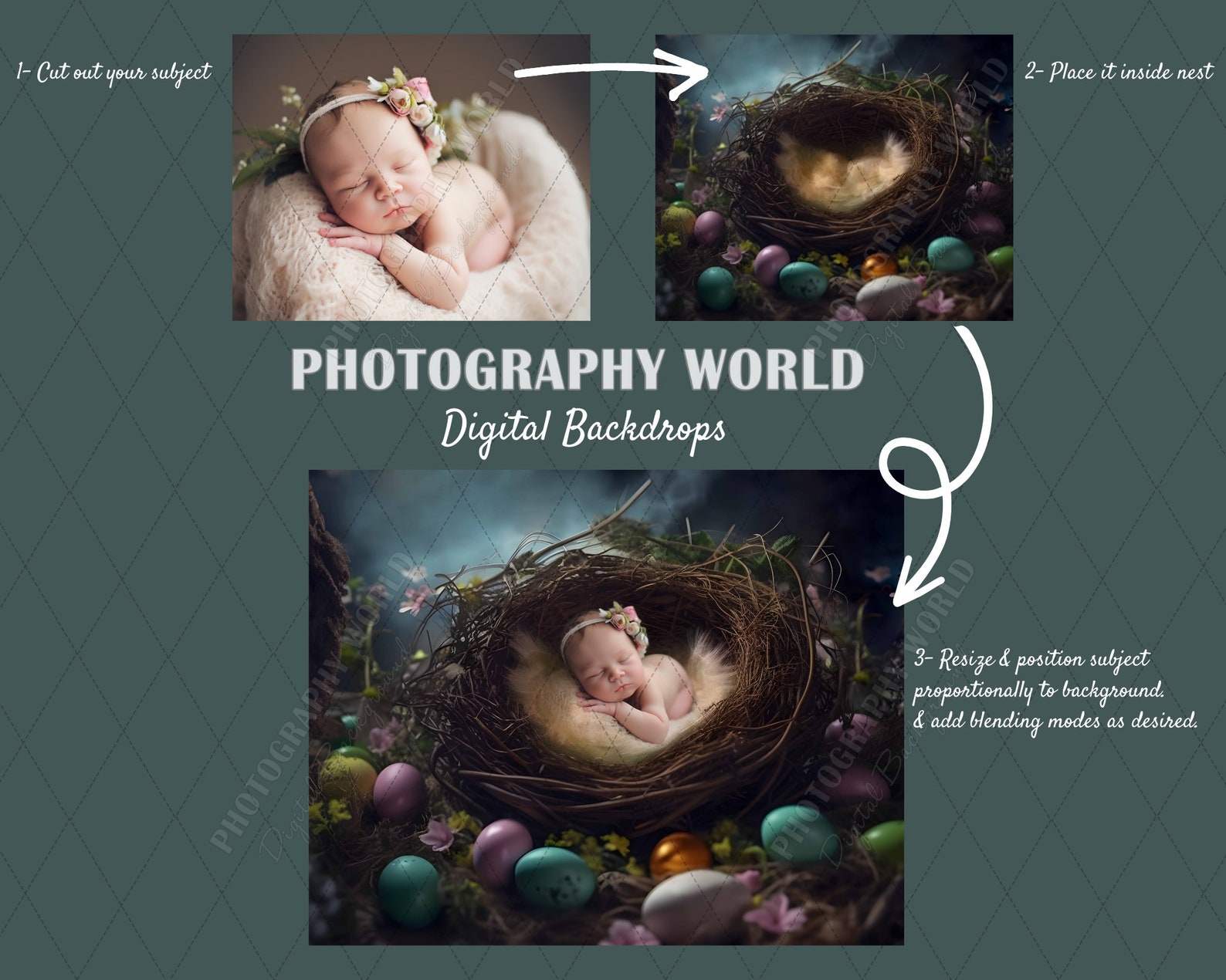 Newborn Digital Backdrop for Photographers, Easter Egg Nest Digital ...
