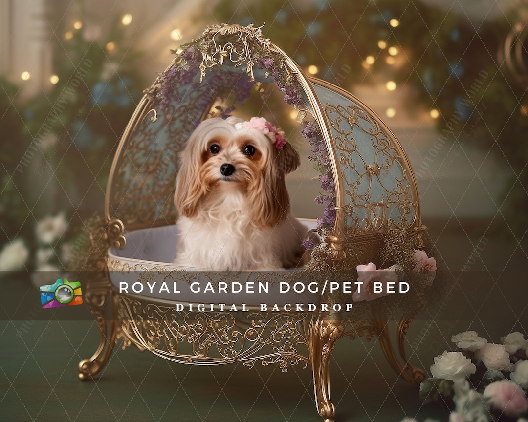 Digital Backdrop Dogs Cats, Dog Cat Memorial Backdrop, Pet Portraits ...