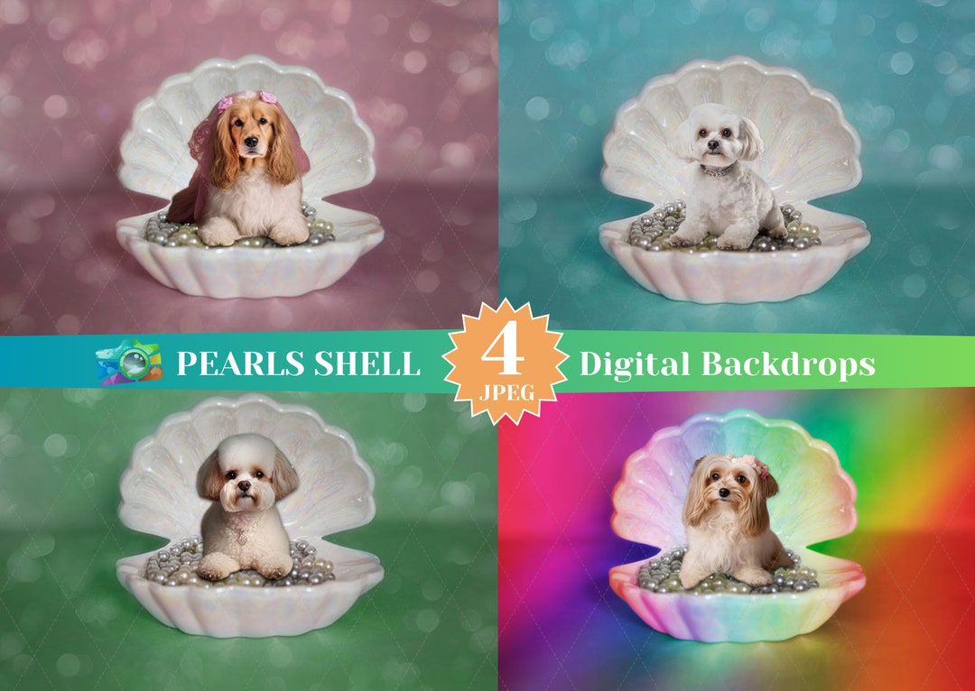4 Digital Backgrounds for Pet Photography, Newborn Photography Digital ...