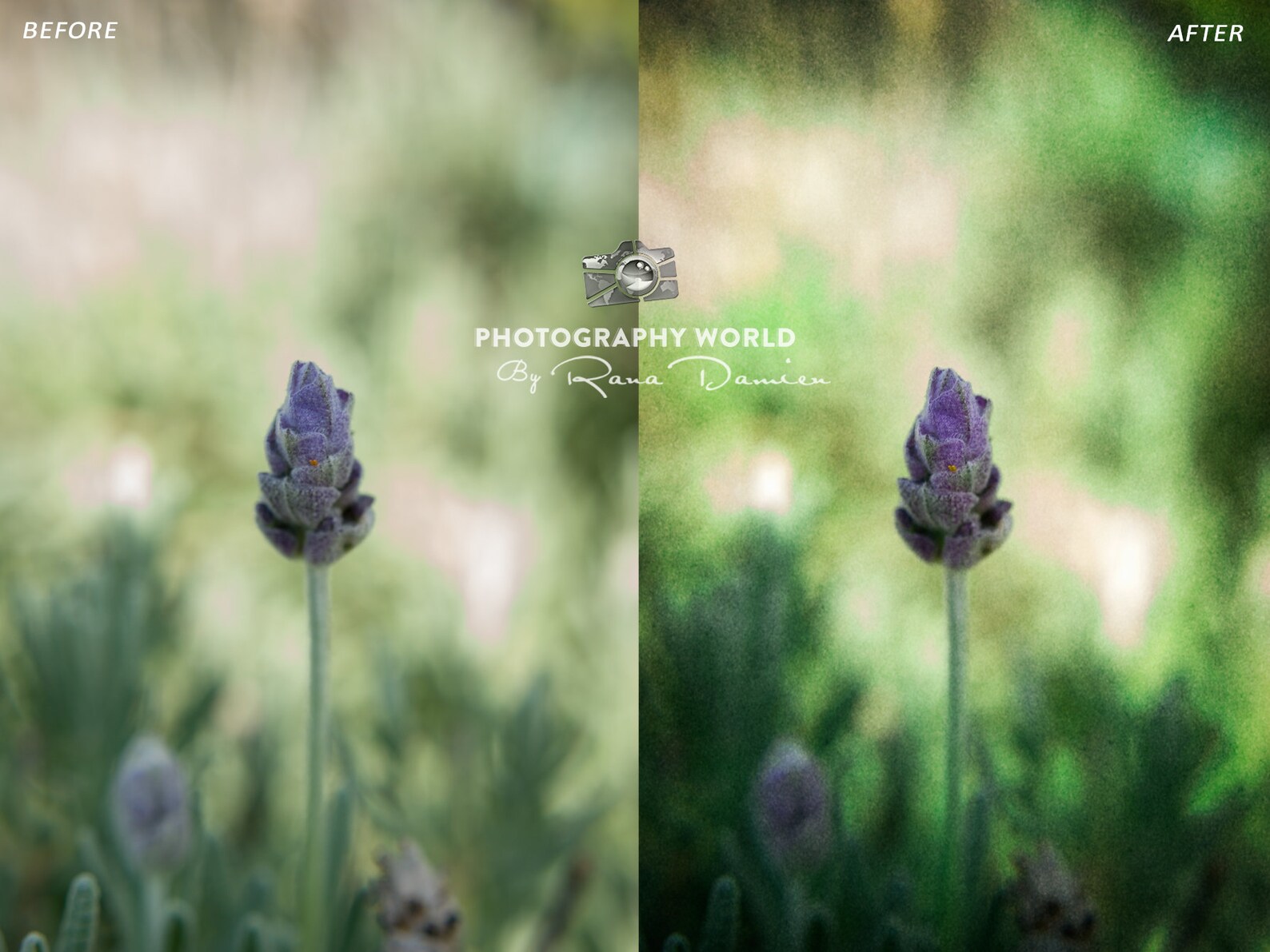 Fine Art TEXTURES Photo Overlays, Digital Backdrop, Photoshop Textures ...