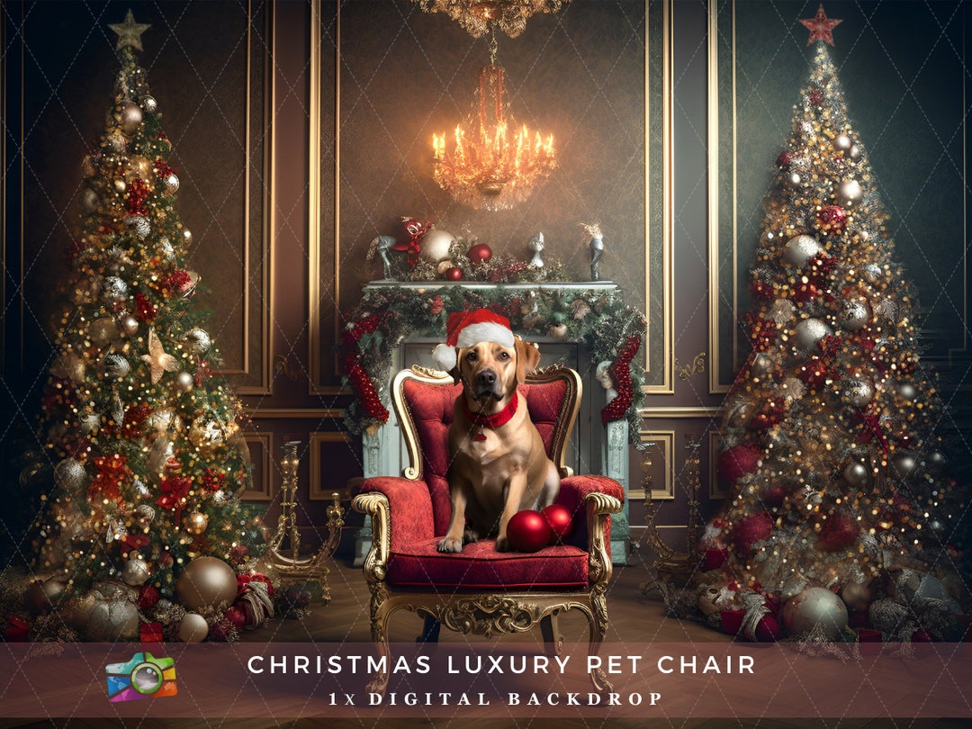 Christmas Digital Dogs Cats Bed, Dog Cat Animal Digital Backdrop, Pet ...