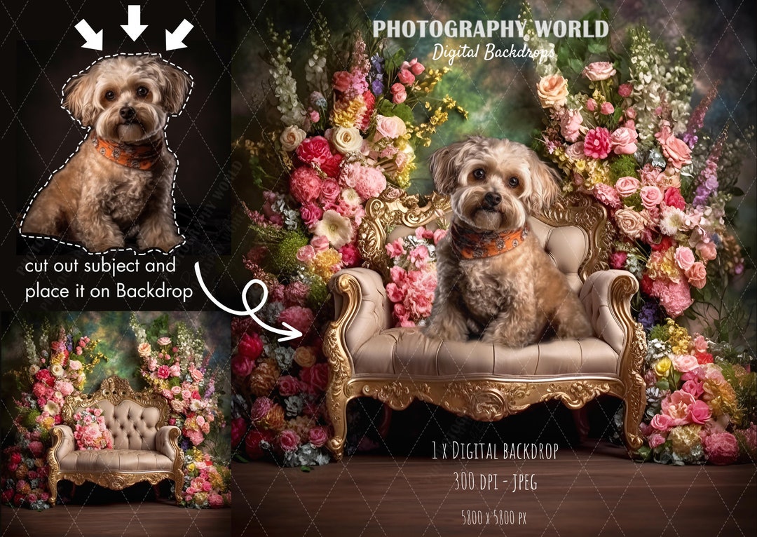 Pet Throne Chair Digital Backdrop, Newborn, Maternity (JPEG) - Etsy Canada