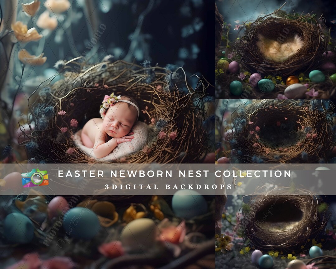 Newborn Digital Backdrop for Photographers, Easter Egg Nest Digital ...