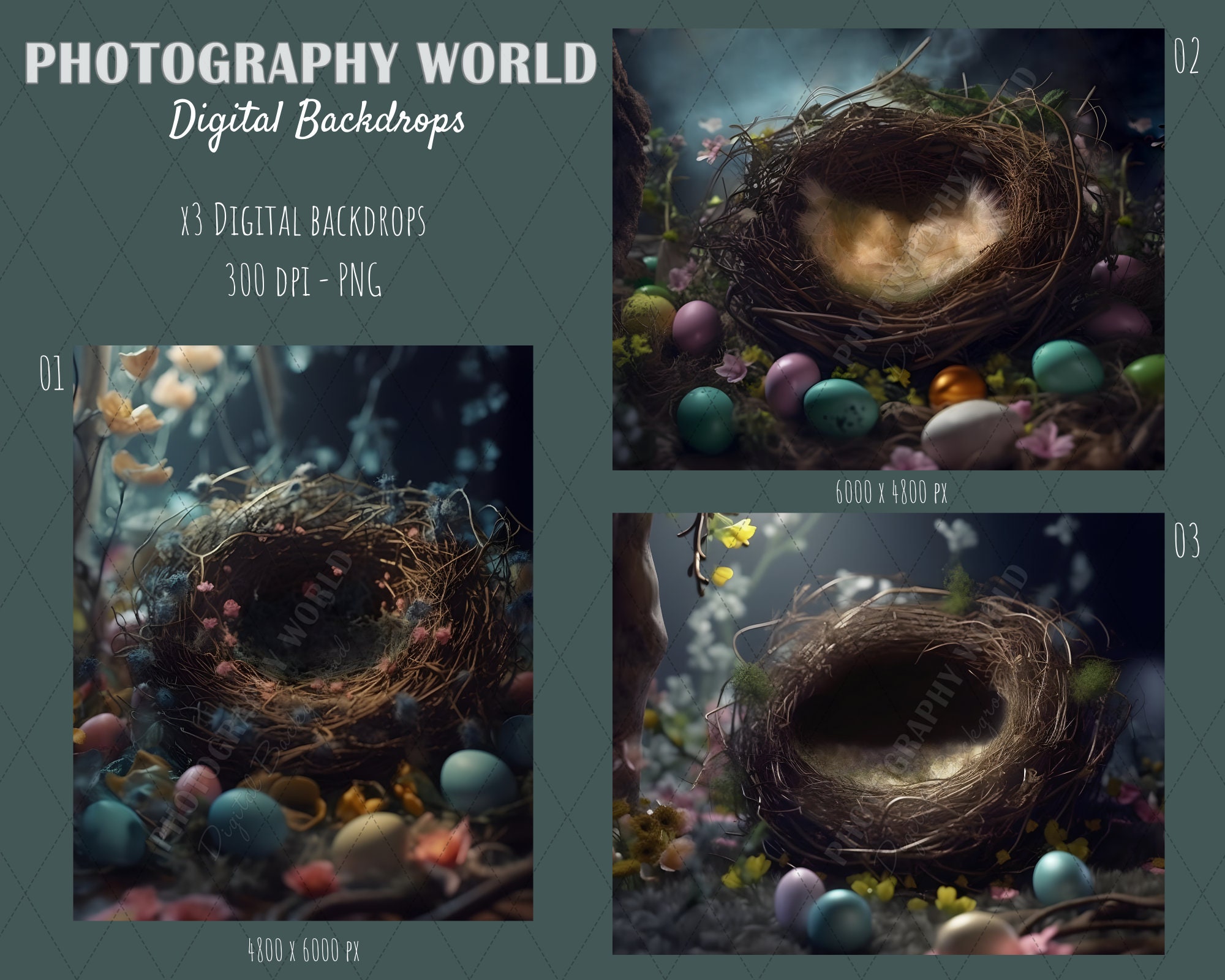 Newborn Digital Backdrop for Photographers, Easter Egg Nest Digital ...