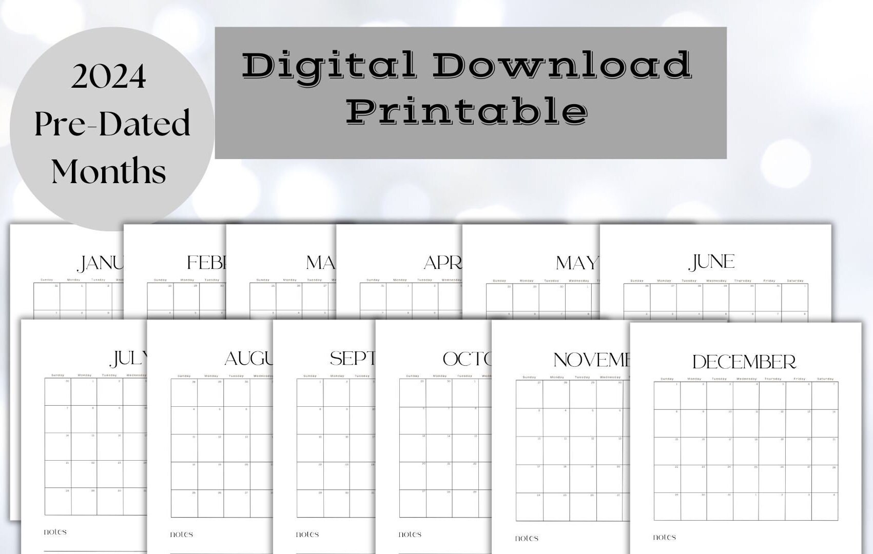 2024 Daily Planner PRINTABLE| Full Calendar Year | Appointment Tracker ...