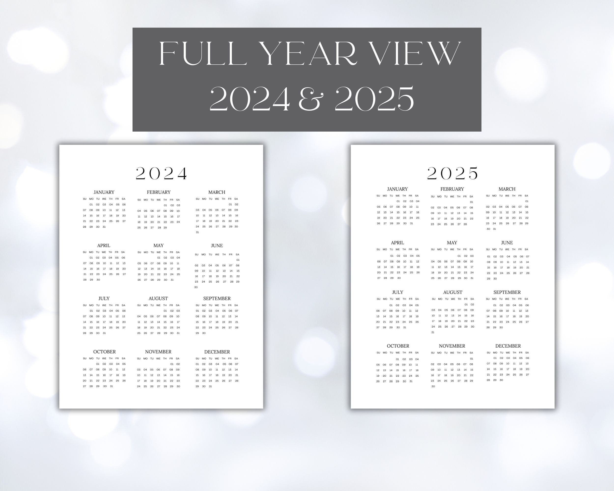 2024 Daily Planner PRINTABLE| Full Calendar Year | Appointment Tracker ...