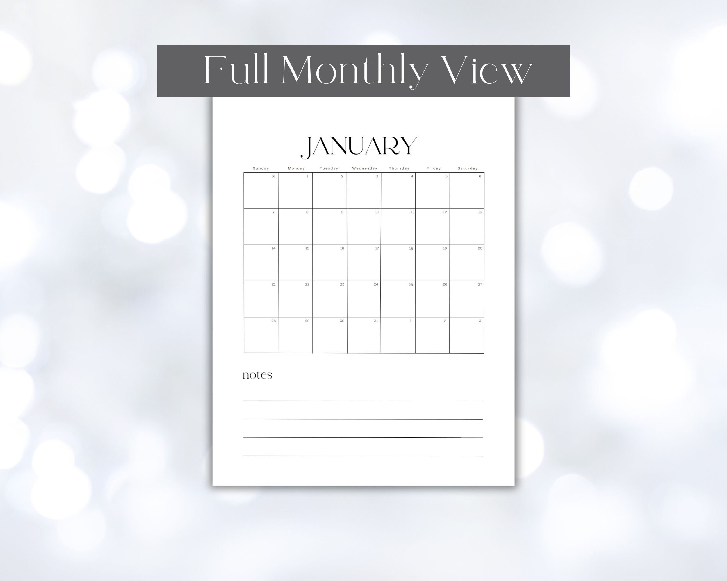 2024 Daily Planner PRINTABLE| Full Calendar Year | Appointment Tracker ...