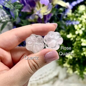 Mini Crystal Paws in Resin, Dog, Cat, Animal Lover, Pet Memorial Decor ...