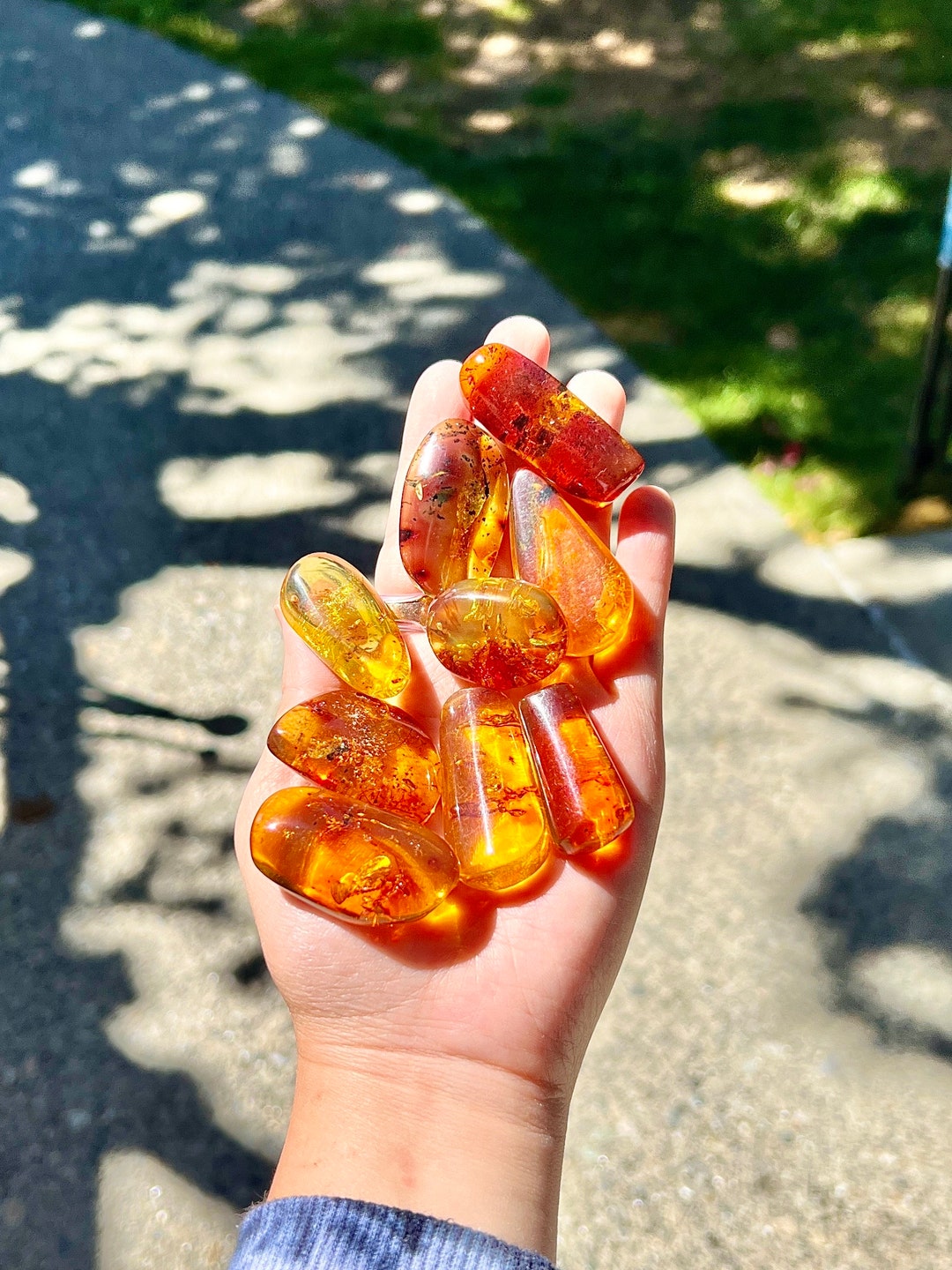 Amber From Columbia, Miocene Era, Fossilized Insects and Bugs, Organic ...